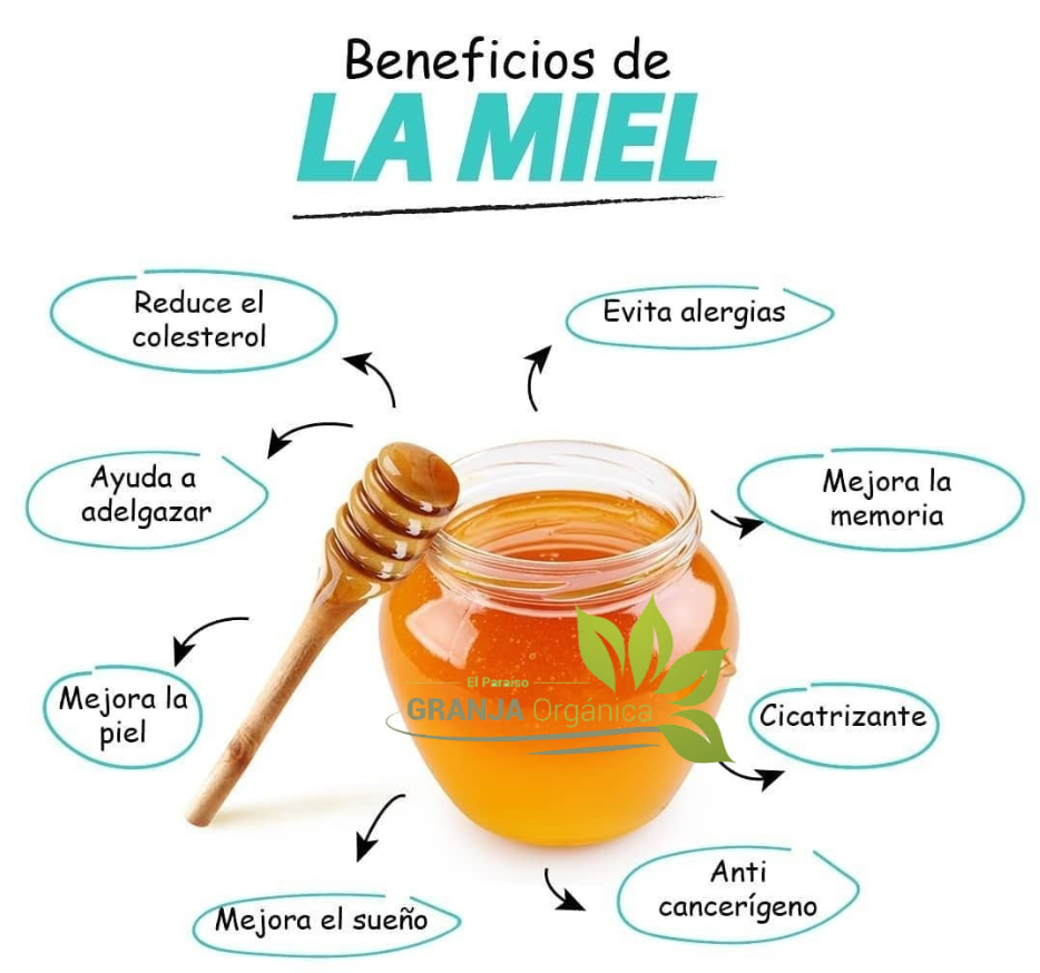 Miel de abeja x 330 ml. – Granja Orgánica el Paraiso